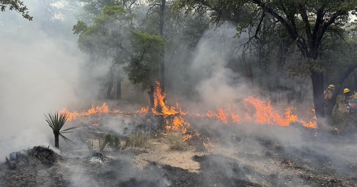Shaw Fire near Cochise Stronghold is 30% contained | Cochise County ...