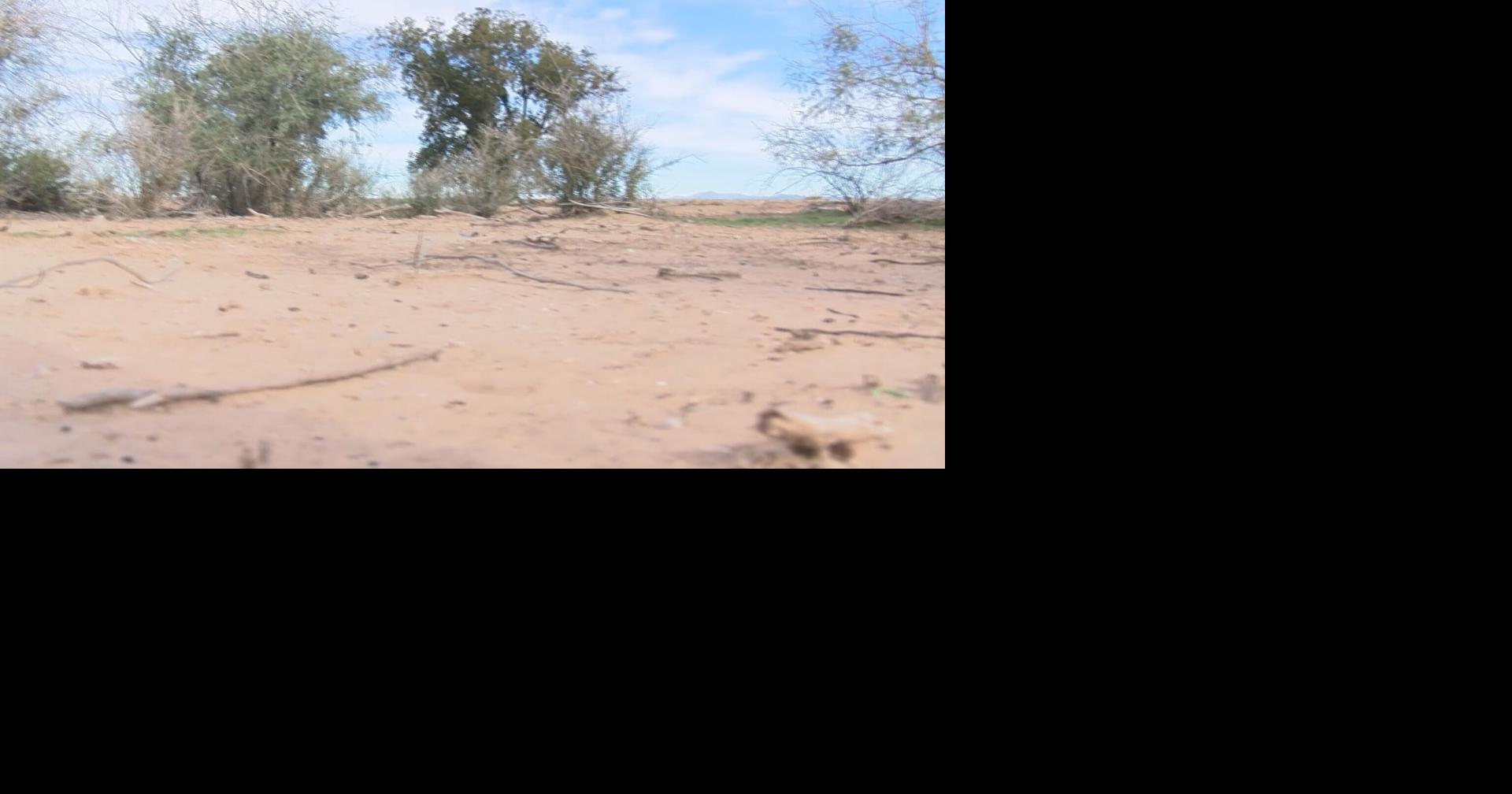 Beale Infrastructure company sues Marana over blocked referendum ...