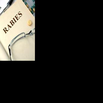 Rabies on the rise, AZ Health Department warns residents | News | kvoa.com