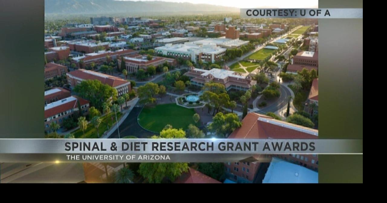 University of Arizona scientists earn NIH 'New Innovator' awards ...