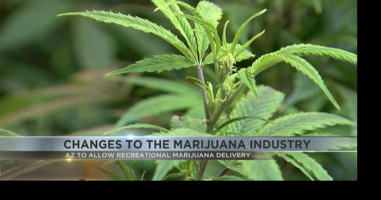 Recreational marijuana home delivery to begin in Arizona | Video | kvoa.com