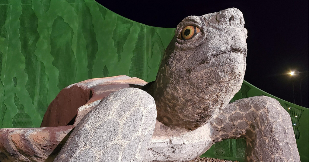 Meet the Valencia Bike Paths’ newest Sonoran Decor | Local News | kvoa.com