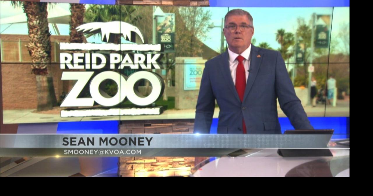 Symbolically adopt a Reid Park Zoo animal and support wildlife | Video ...