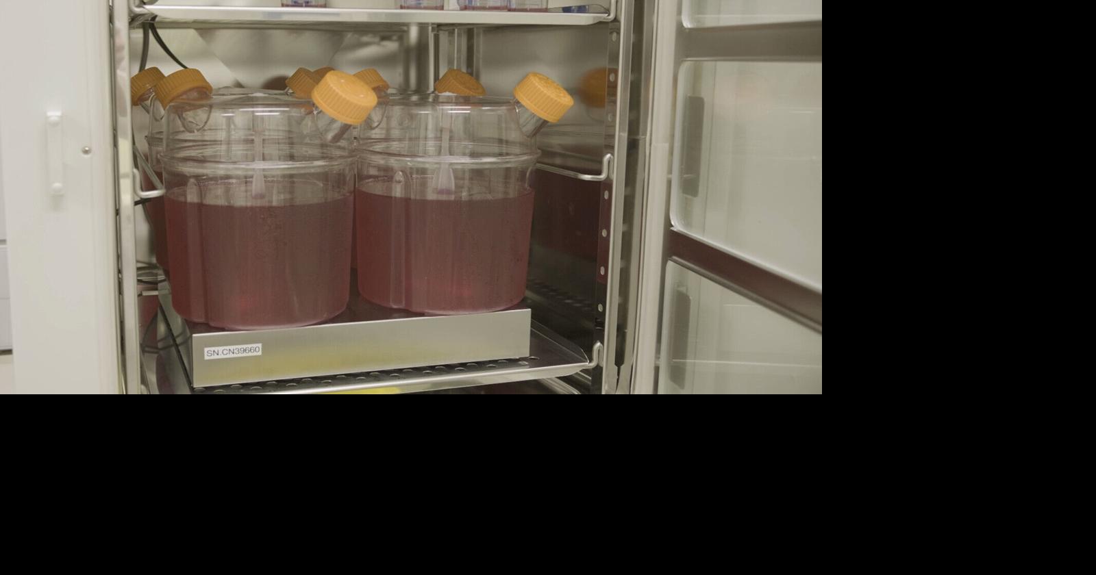 Two teaspoons of lab-made blood could have enormous potential for ...