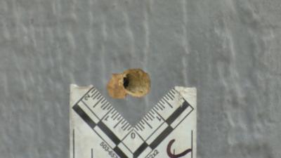Stray bullet nearly costs man his life | Weaponry | kvoa.com