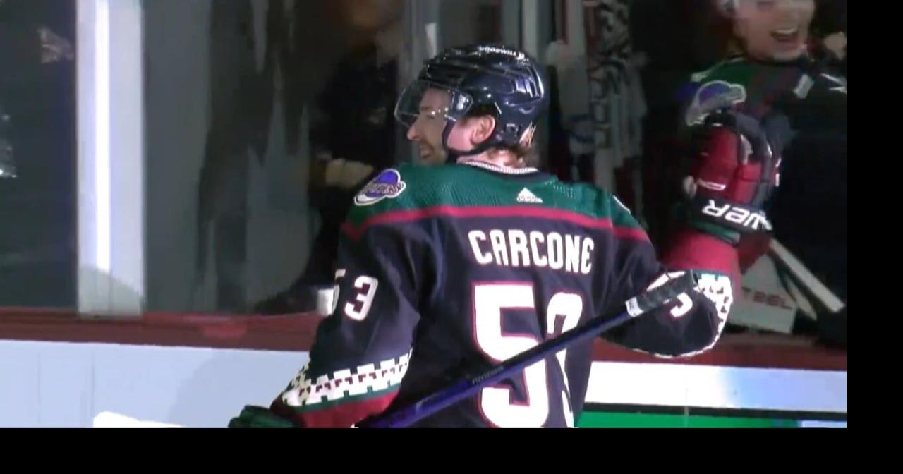 Roadrunners & AHL scoring leader Carcone ready for playoffs | Video ...