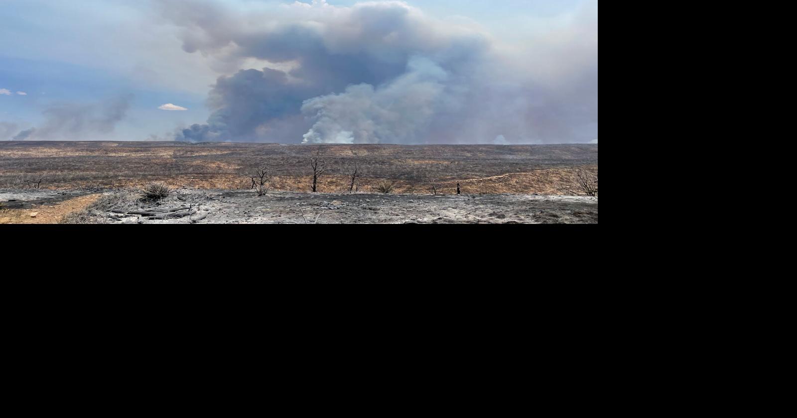 Massive aerial firefighting efforts as White Sage Fire spreads ...