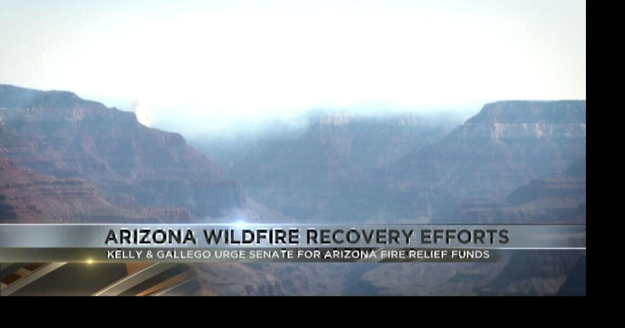 Arizona senators push for wildfire recovery funds for federal lands ...