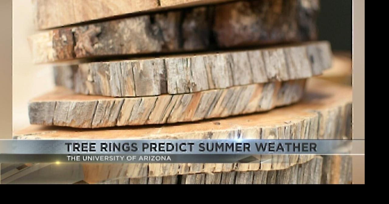 University of Arizona study links tree rings to climate extremes ...