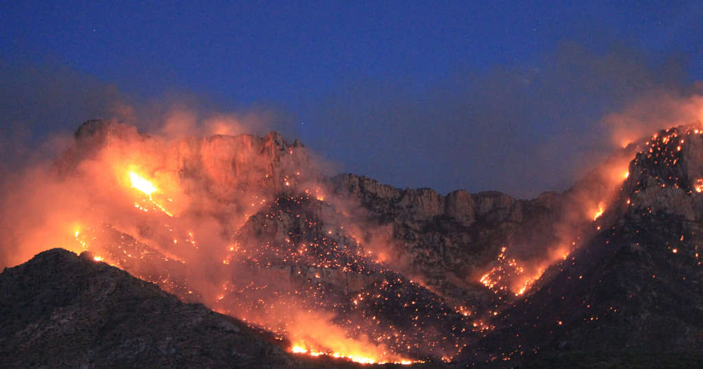 Wildfires have burned more Arizona land in 2020 than in 2018, 2019 ...
