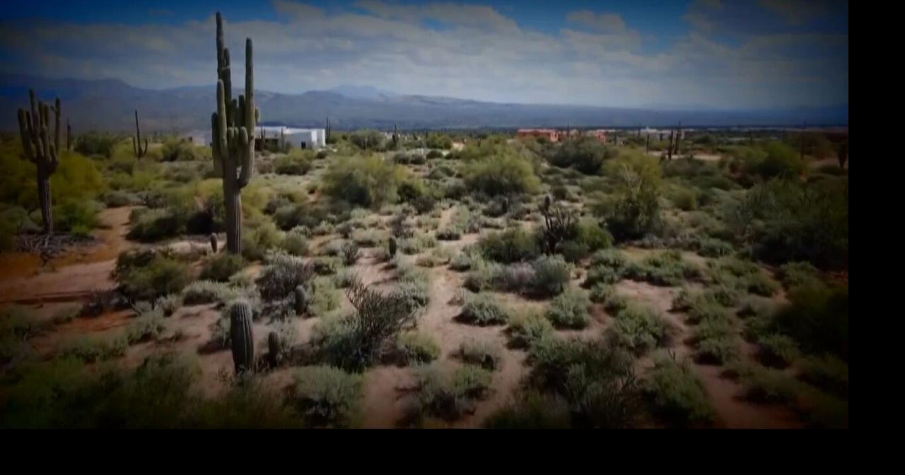 An Explanation for An Unusually Cold and Wet Winter in Southern Arizona ...