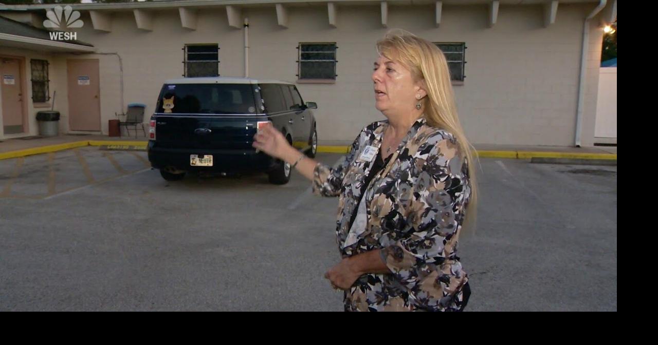 Florida woman arrested on animal abuse charges after incident outside ...