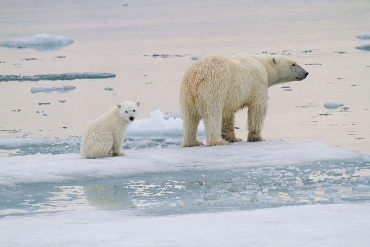 Scientists say they’ve found a direct link between planet-warming ...