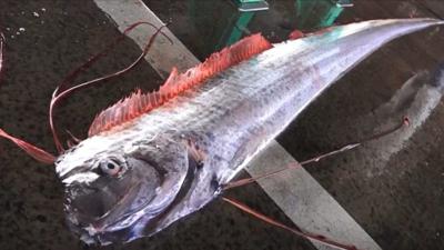 how deep is a phantom