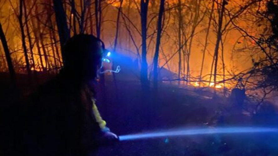 Fire on the Mountain: Webinars to understand the Bighorn Fire | Local ...