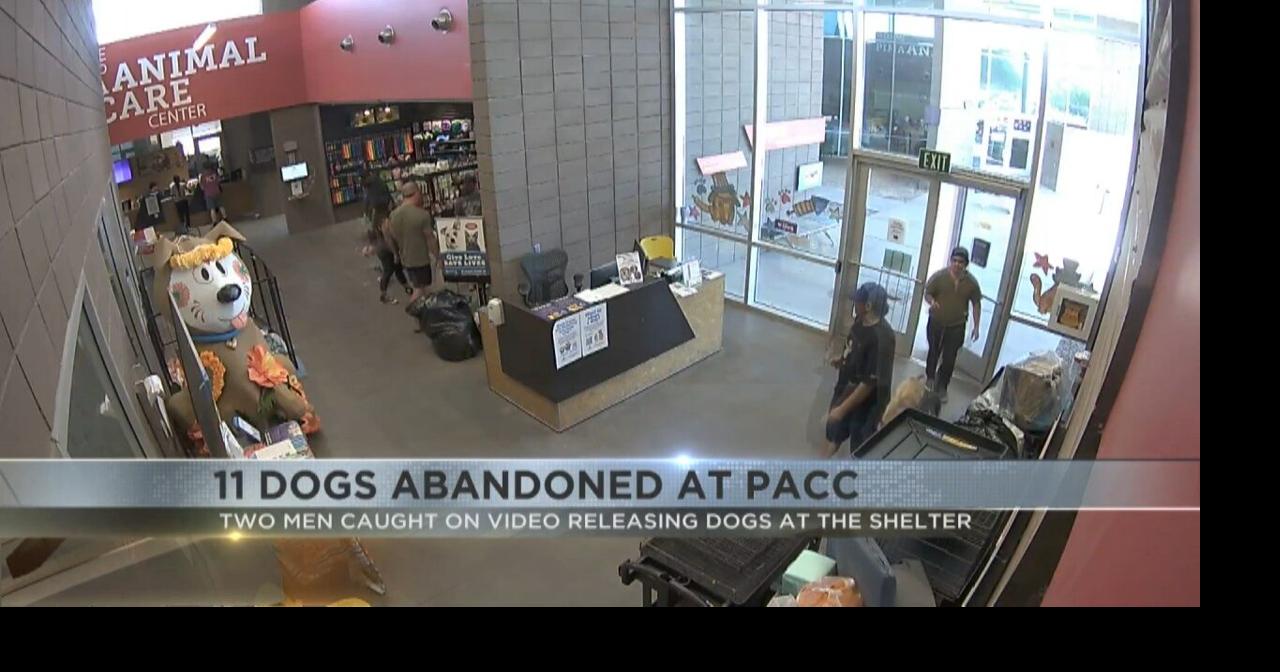 Two men caught on video releasing dogs at PACC | Local News | kvoa.com