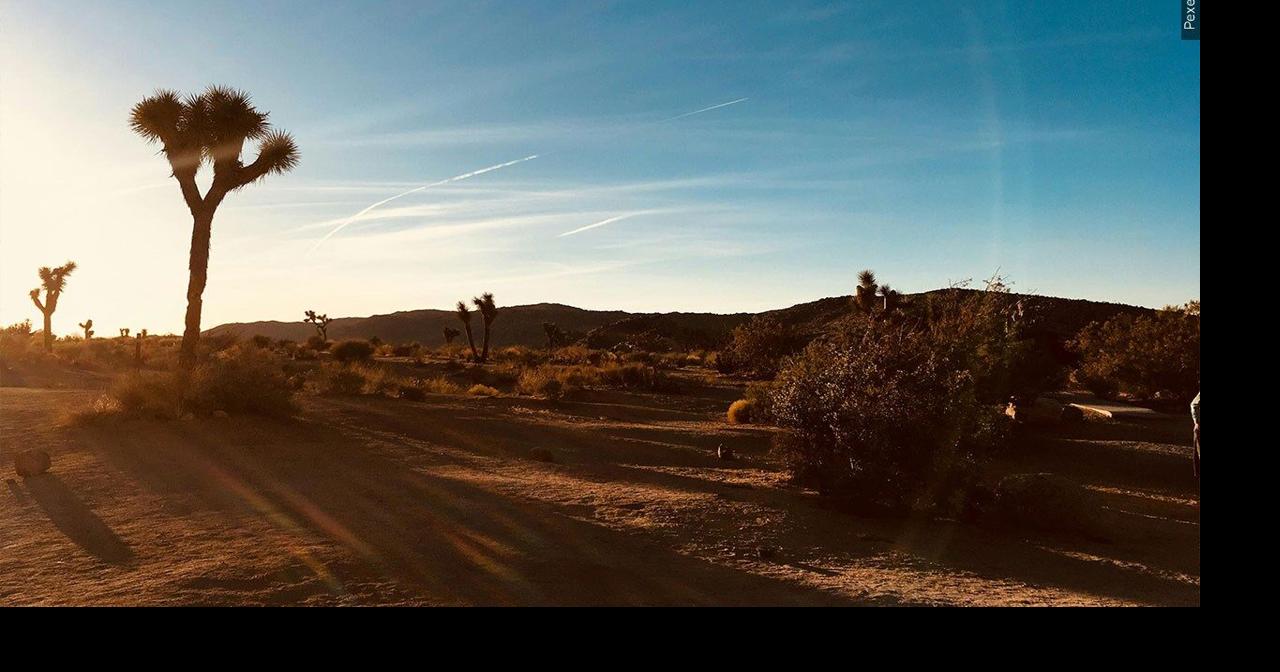 Pima County expands efforts to protect water resources | Community ...