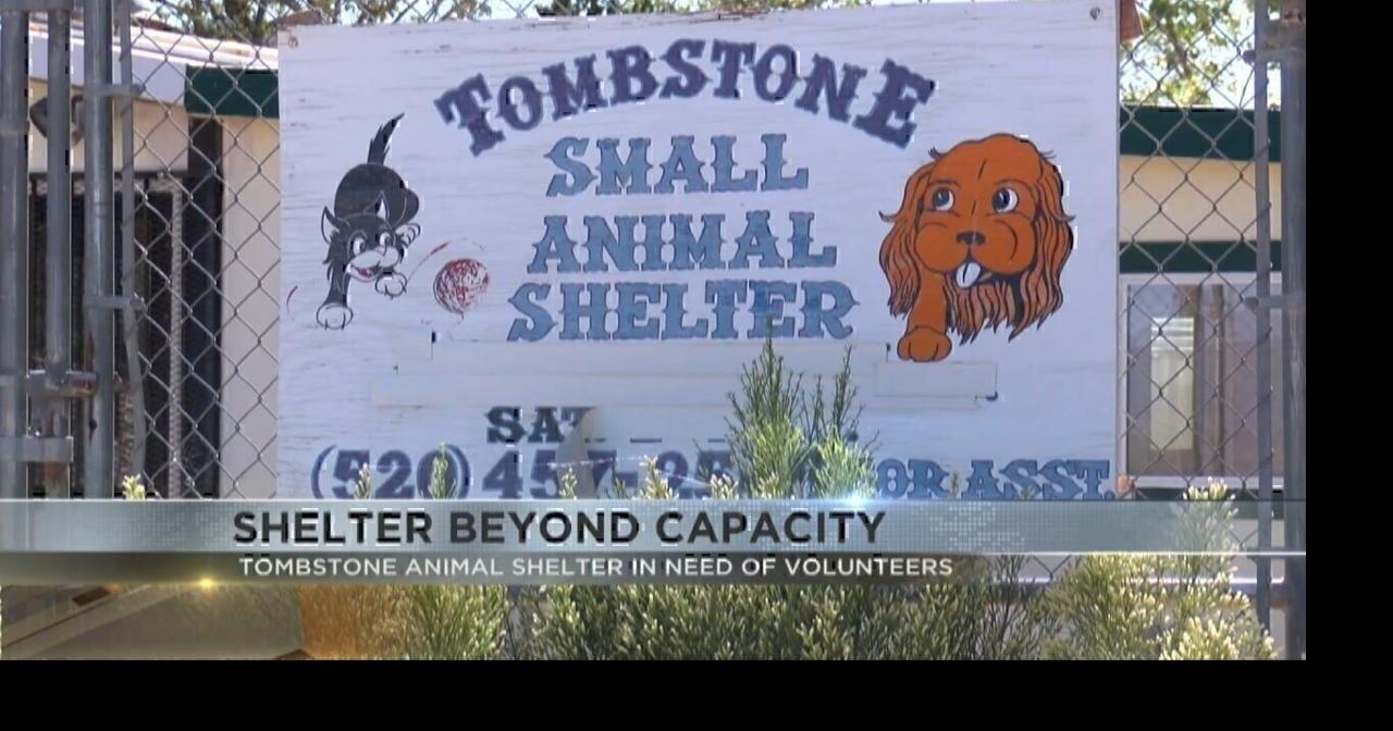 Urgent help needed for Tombstone animal shelter at full capacity ...