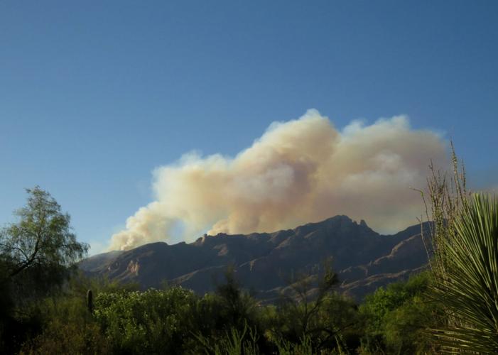 Two major wildfires burning in southern Arizona | Local News | kvoa.com
