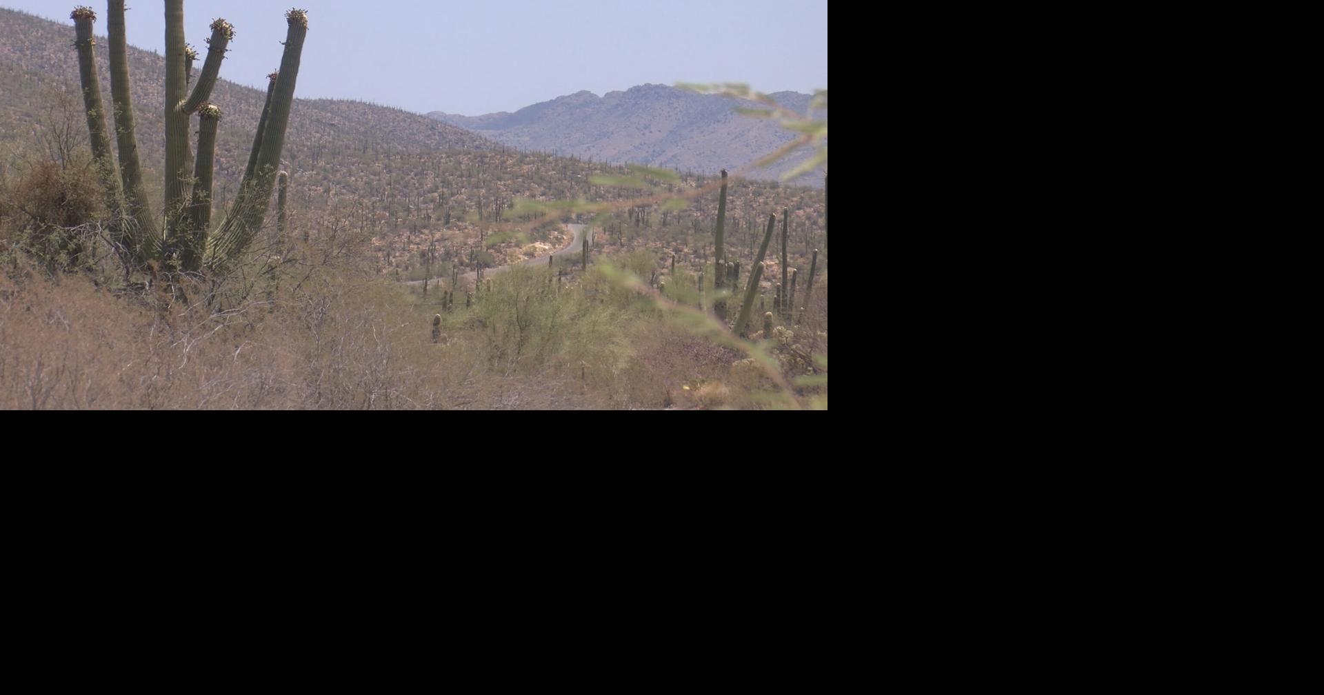 Two hikers rescued in Sabino Canyon area: One hoisted out by AZDPS ...