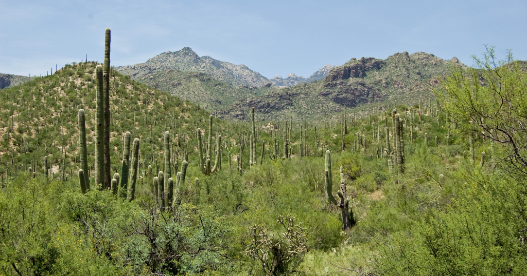 PCSD's air unit getting new hangar | Aeronautics | kvoa.com