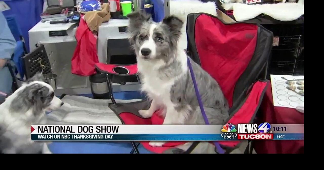 National Dog Show host looks forward to the Thanksgiving television ...