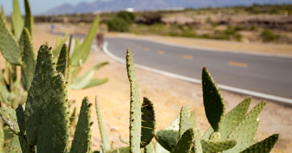 Pima County needs help keeping The Loop as best recreational trail in ...