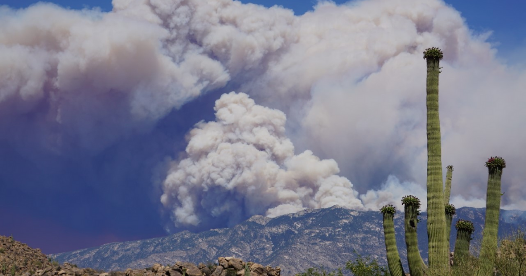 Pima County: Smoke from Bighorn Fire affecting air quality for ...