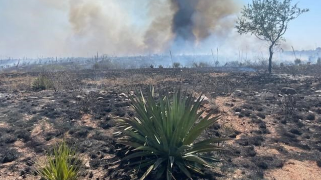 Western Hemp Fire | | kvoa.com