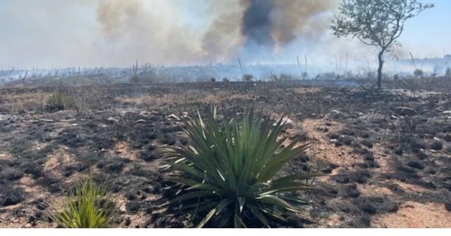 UPDATE: Western Hemp Fire should reach 100% containment tonight ...