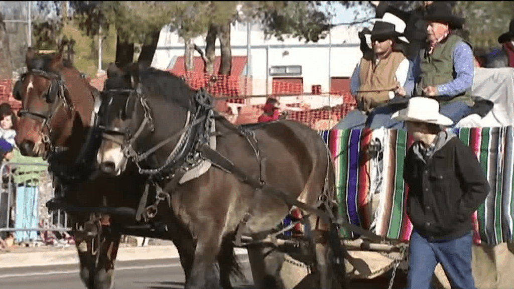 Tucson Rodeo Parades New Route | Local News | kvoa.com