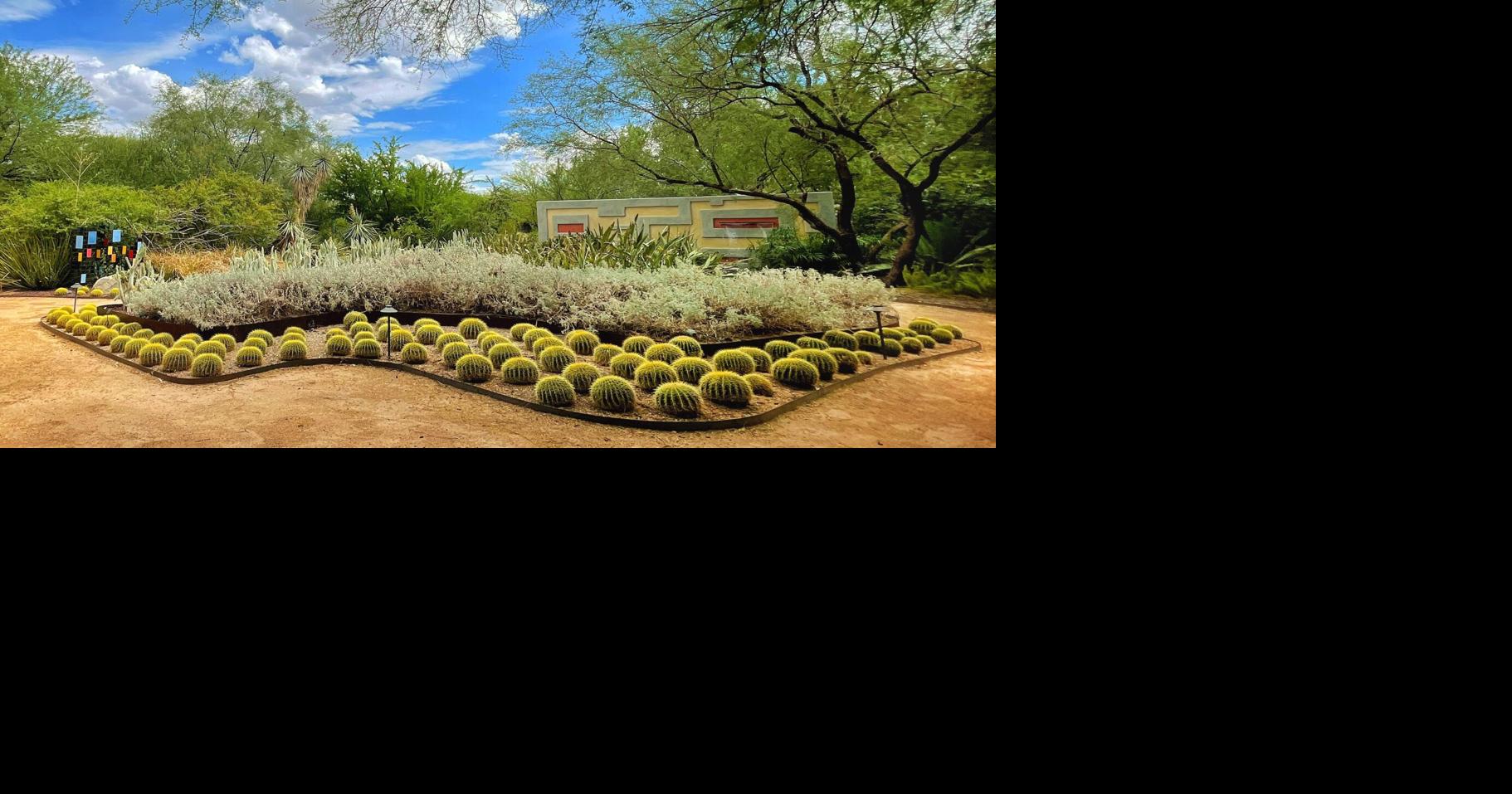 Tucson Botanical Garden celebrates Earth Day and prestigious award ...