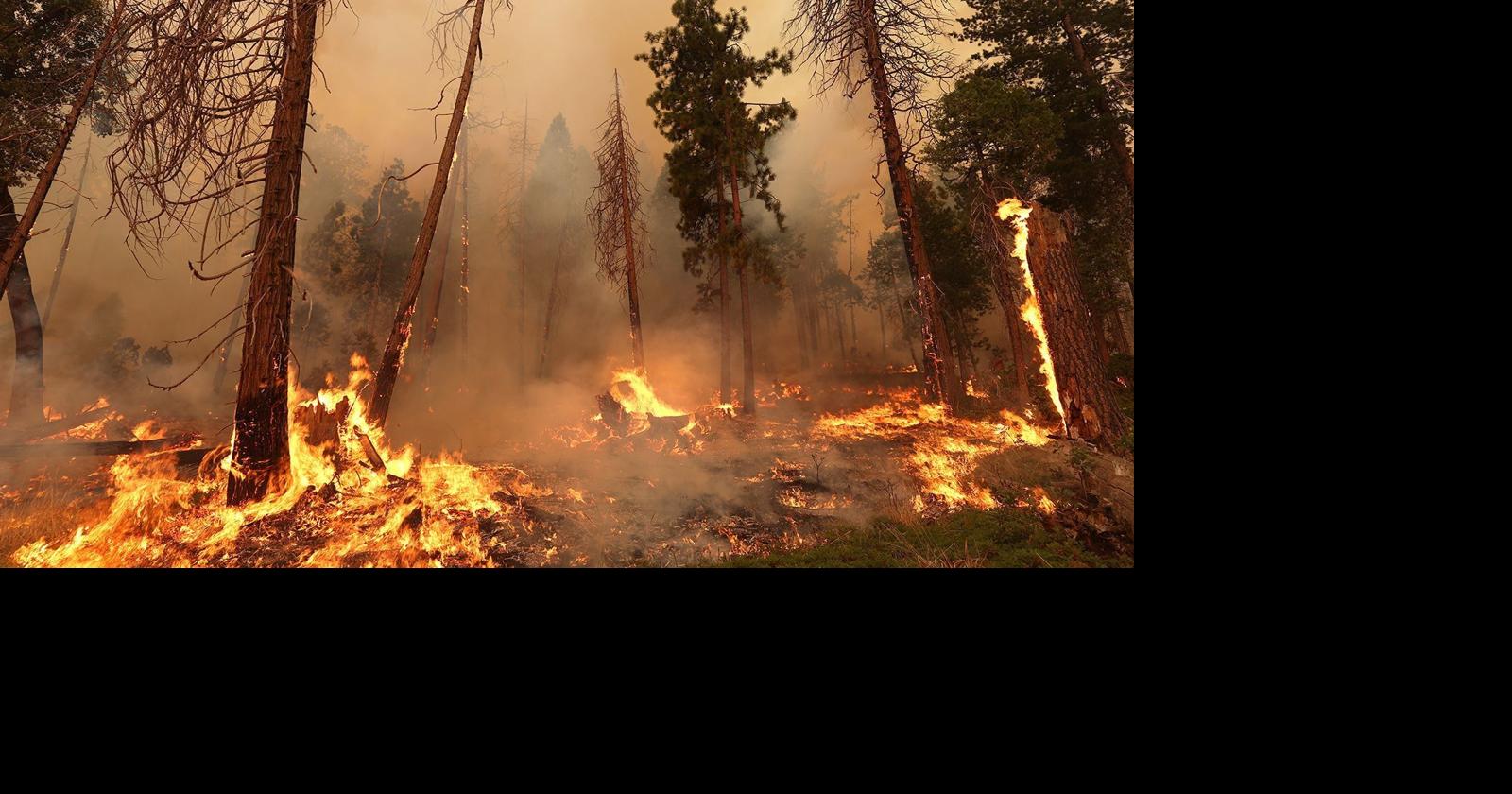 CLIMATE MATTERS: Dangers of winter wildfires | Climate Matters | kvoa.com