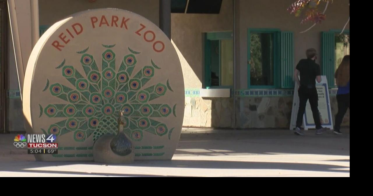 Celebrate Nandi's 9th birthday at Reid Park Zoo | Local News | kvoa.com