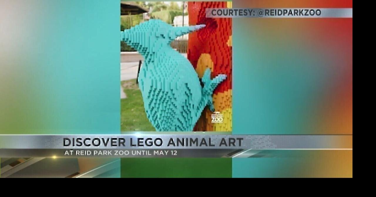 Discover Sean Kenney's LEGO art at Tucson's Reid Park Zoo | Video ...