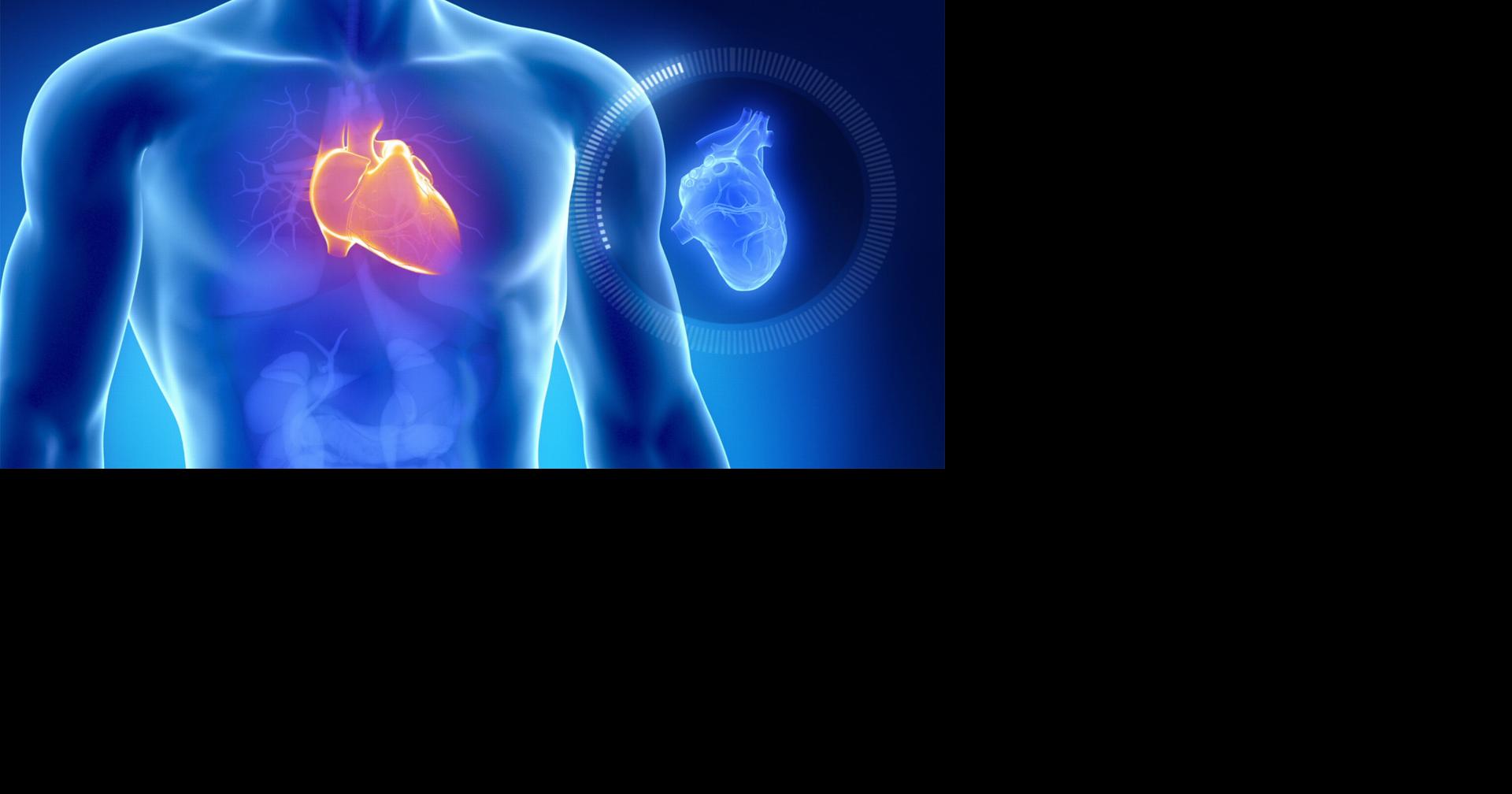 Elite athletes with genetic heart disease can safely return to play ...