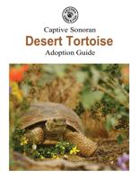Adopt a desert tortoise and help Arizona wildlife thrive | News | kvoa.com