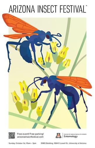 Celebrate the joy of bugs at the 11th annual Arizona Insect Festival ...