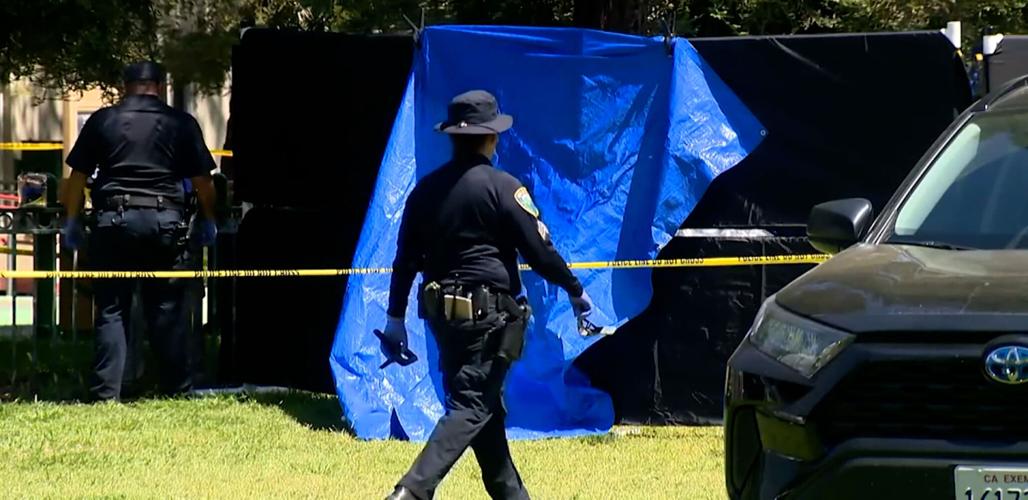 3rd stabbing in a week near UC Davis leaves campus on edge as officials ...