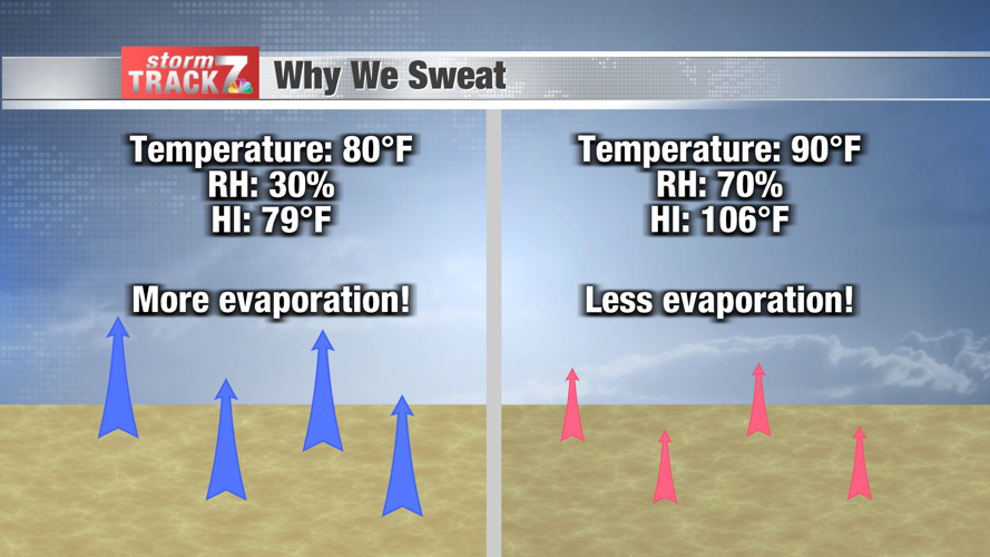 Calculating heat index | Schnack's Weather Blog | kwwl.com
