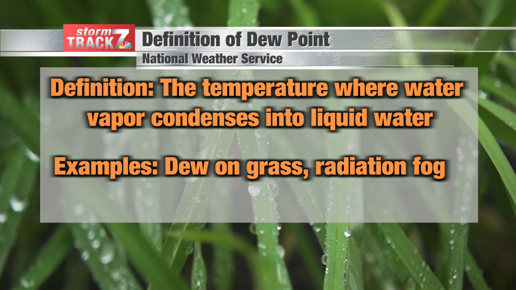 Weather Wonders: Dew Point vs. Relative Humidity | Schnack's Weather ...