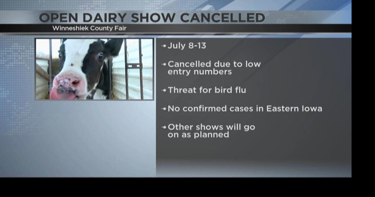 Winneshiek County Fair's Dairy Show cancelled | | kwwl.com