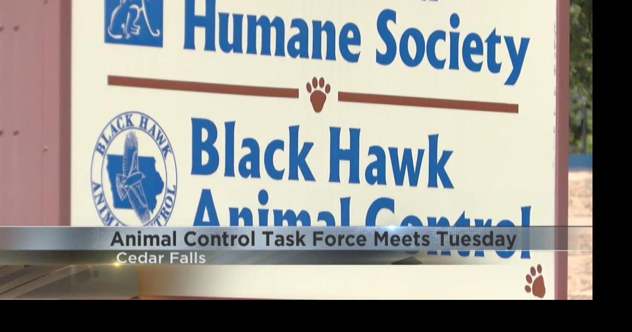 Cedar Falls Animal Control Task Force meeting on Thursday | Waterloo ...