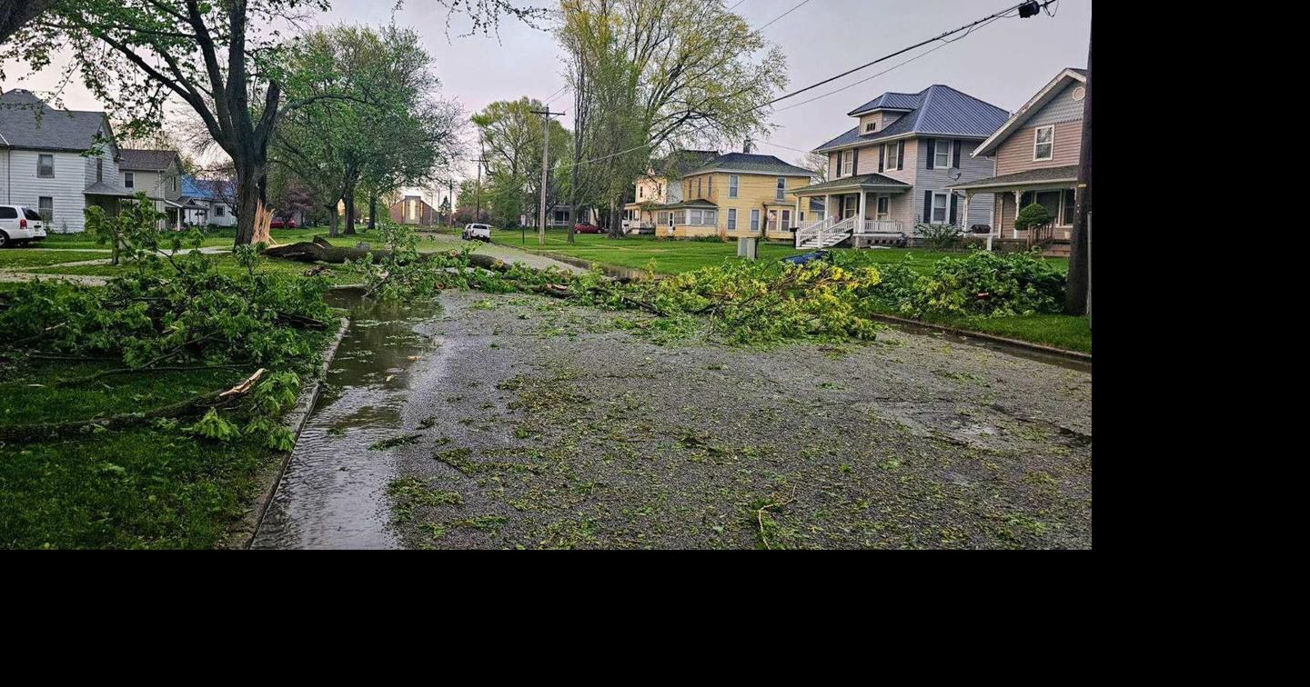 Severe storms knock down trees, temporarily knock out power | Top ...
