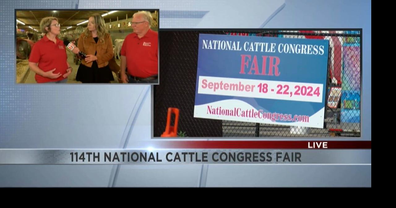 Organizers Join Lilly Cederdahl To Chat About National Cattle Congress ...