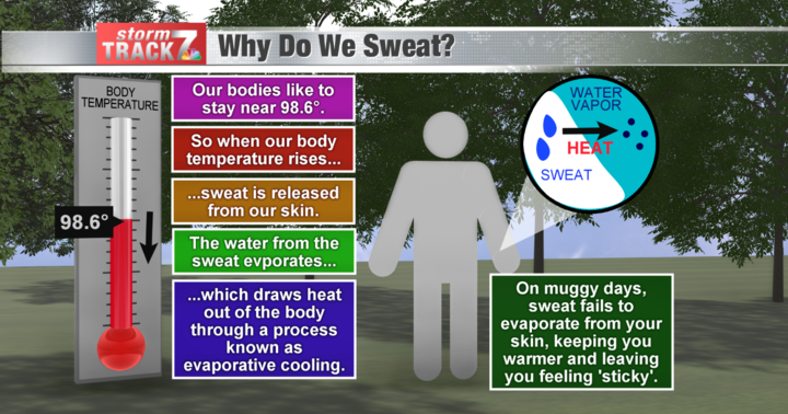 Why we Prefer Dew Points vs. Relative Humidity | Schnack's Weather Blog ...
