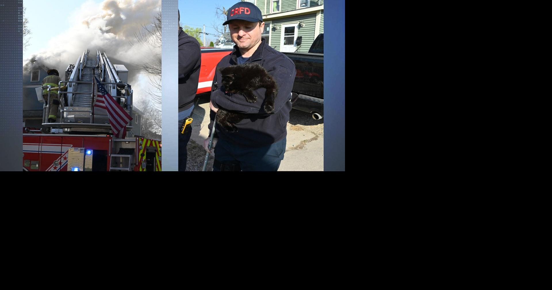 Cedar Rapids firefighters rescue four cats in house fire on Tuesday ...