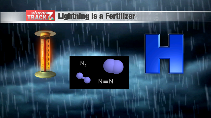 Lightning as a Fertilizer? | Schnack's Weather Blog | kwwl.com