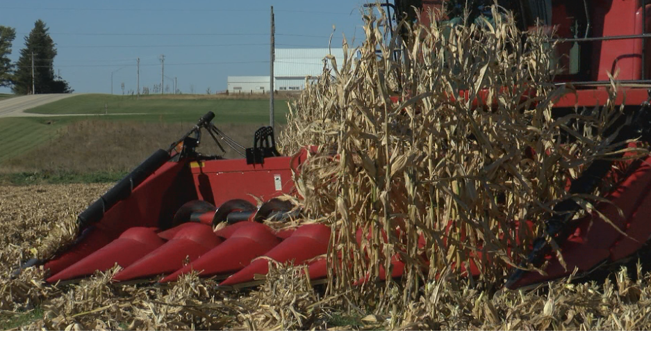 2021 harvest breaks record for highest corn yields in Iowa | Top ...