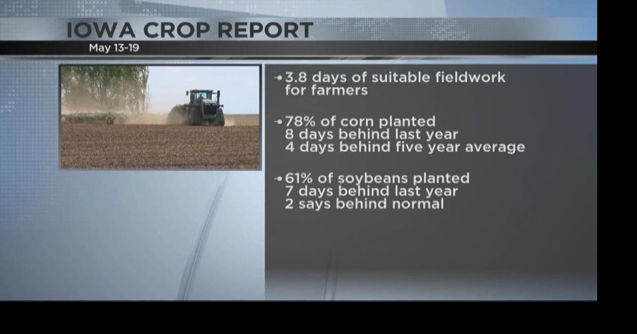 Latest Iowa Crop Report | Video | kwwl.com